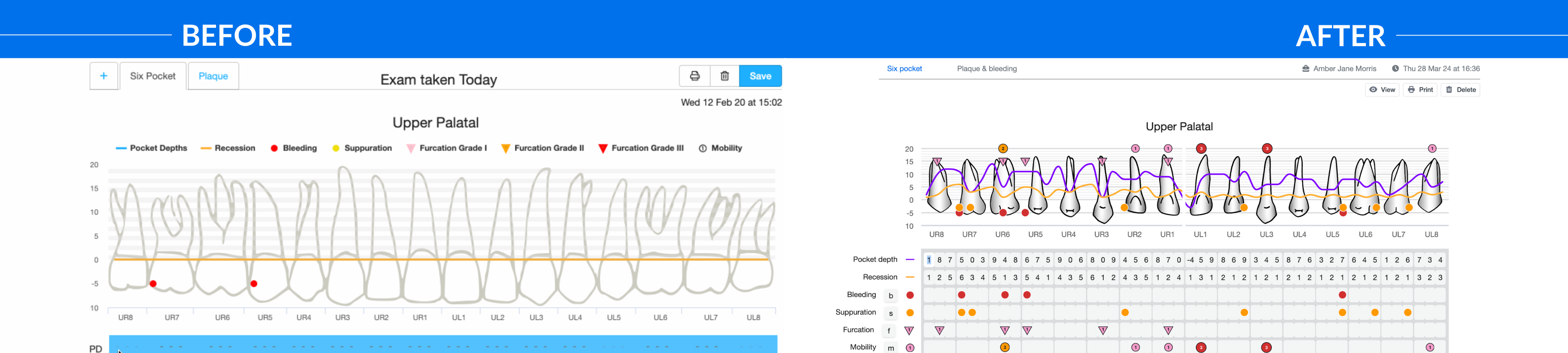 A Decade of Innovation and Milestones with Dentally