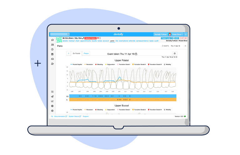 Perio Chart Overview